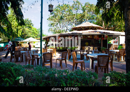 Restaurant in a garden, Campal Gardens, Panaji, Goa, India Stock Photo ...