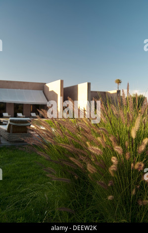 Exterior of Moroccan new-build with architecture by Olivier Moreau and ...