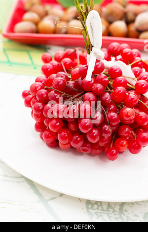 ripe fruit plants viburnum Stock Photo - Alamy