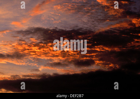 Mackerel Sky sunset Stock Photo - Alamy