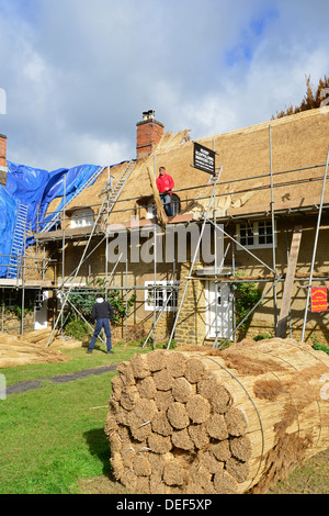Thatchers thatching roofs of cottages, Ashby St Ledgers ...