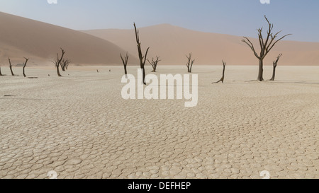 Sandstorm in Deadvlei with some of the highest sand dunes in the world ...