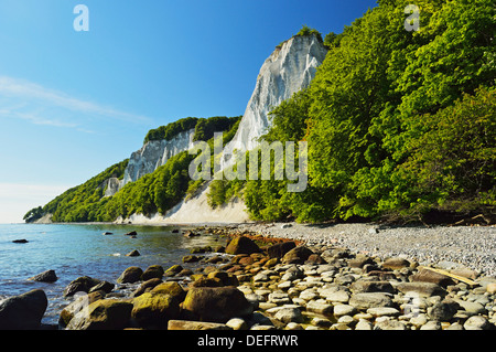 Chalk cliffs, Jasmund National Park. Ruegen Stock Photo - Alamy