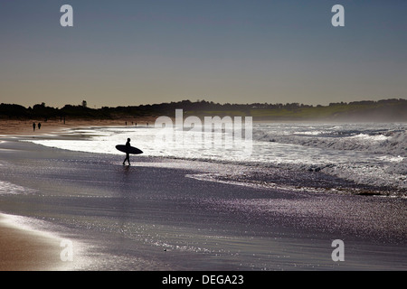 Dee Why Beach Stock Photo - Alamy