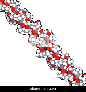 Collagen model protein. Collagen has a triple helix structure and is a ...