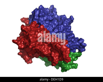 Tumor necrosis factor (TNF, cachexin, cachectin), chemical structure ...