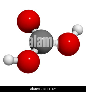Carbonic acid (H2CO3) molecule, chemical structure. Found in carbonated ...