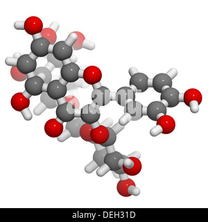 Rutin (rutoside, sophorin) molecule. Herbal glycoside composed of ...