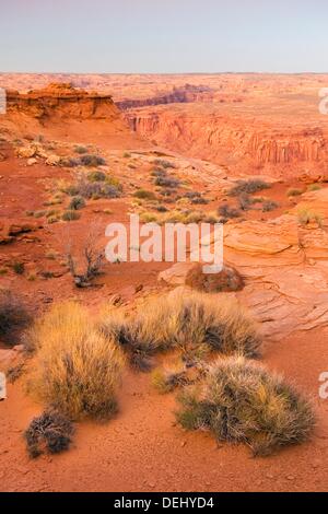 Burr Point Overlook of the Canyons of the Dirty Devil River, the Henry ...