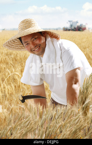 Farmer harvest wheat with sickle Stock Photo - Alamy