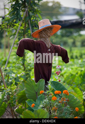 Scarecrow in crop field Stock Photo - Alamy