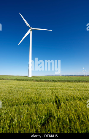 Windmills for electric power production, Huesca province, Aragon in ...