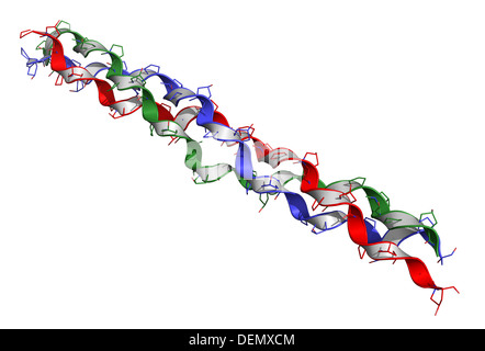 Collagen model protein, chemical structure. Essential component of skin ...
