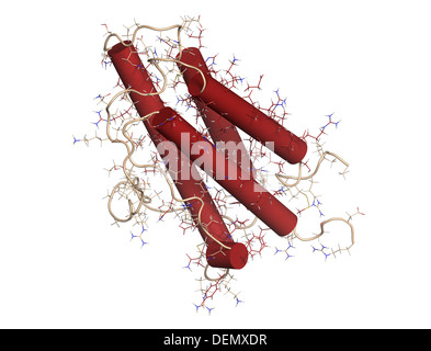 Erythropoietin (human EPO, epoetin) protein hormone. Stimulates ...