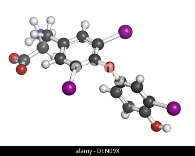 Triiodothyronine hormone (t3, liothyronine) molecule, chemical ...