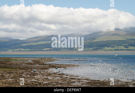 Menai Straits and Snowdonia from Isle of Anglesey Wales UK Stock Photo ...