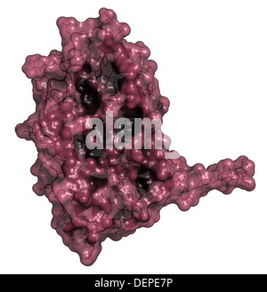Interferon beta molecule, chemical structure. Cytokine used to treat ...