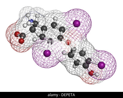 Chemical structure of a triiodothyronine (T3) molecule, thyroid hormone ...