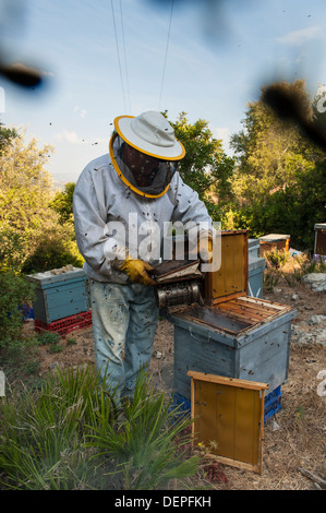 Rural Spain Bee Keeping Stock Photo - Alamy