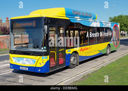 Public buses running on the renewable fuel biogas in the city centre of ...