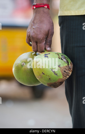 Hand of asia man holding coconut palm tree is environment helping ...