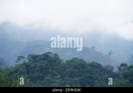 Mexico, Chiapas, Montes Azules Biosphere Reserve, Lacandon Jungle Stock ...