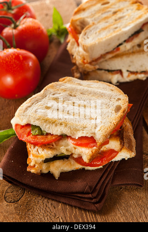 Homemade Tomato and Mozzarella Panini with Basil Stock Photo - Alamy