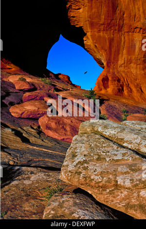 looking glass rock sandstone Utah America. Photo by Willy Matheisl ...
