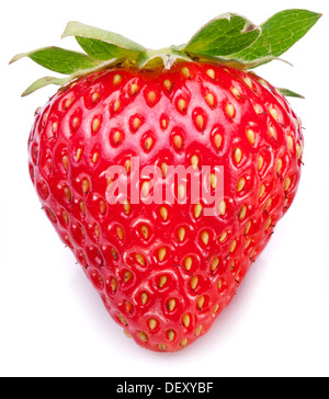 Close up of one cut strawberry on a pile of fresh ripe strawberries ...