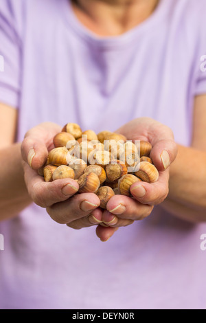 HANDS HOLDING HAZELNUTS Stock Photo - Alamy