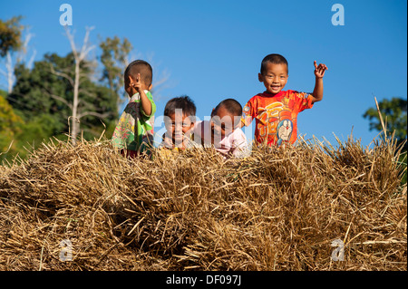 Happy children, playing on haystacks in a field, summertime Stock Photo ...