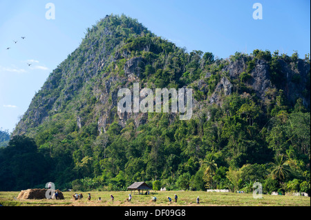Asian labor people and thai labour worker use machine and heavy ...