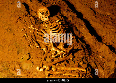 Skull and skeleton from the stone age, Cheddar Man Museum of Prehistory ...