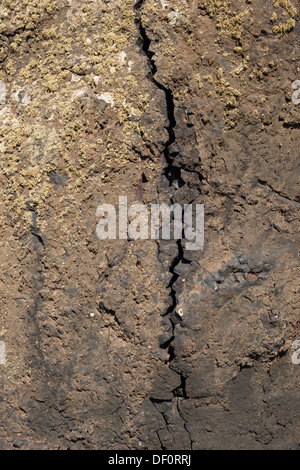 Large basaltic lava volcanic bomb from the 1971 explosive eruption of ...