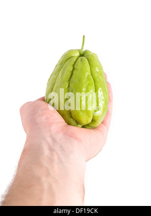 tropical vegetable chouchou isolated on the white background Stock ...