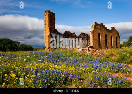 The ruins of an old school with a variety of wildflowers in Pontotoc ...