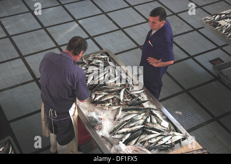 Madeira Island, Black sword fish, Aphanopus carbo Stock Photo - Alamy