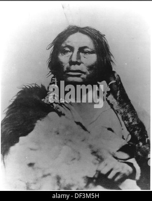 A portrait of Hunkpapa Lakota chief Gall in a war bonnet Stock Photo ...