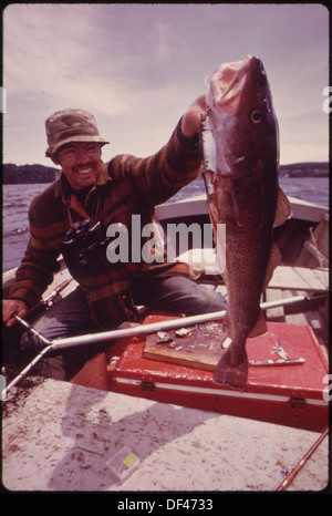 FISHING FOR TRUE COD IN SOUTHERN PUGET SOUND NEAR POINT DEFIANCE. THESE ...