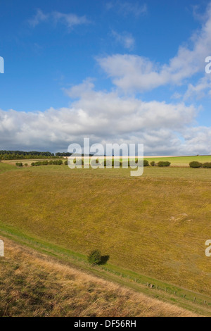 a grassy valley in Horsedale in the Yorkshire wolds england with trees ...
