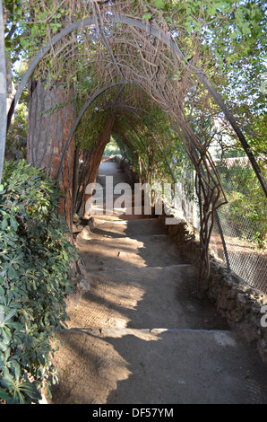gaudi park pathway Stock Photo - Alamy