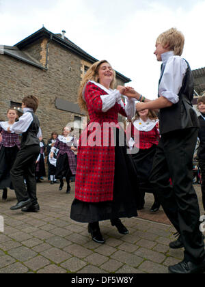 welsh woollen fabric in traditional style , known as 'brethyn cartref ...
