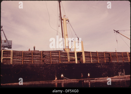 LOGS BEING LOADED ABOARD SHIP FOR EXPORT TO JAPAN 552303 Stock Photo ...