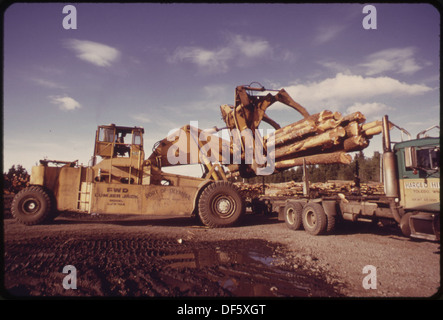 LOG LOADER AT WORK AT PORT OF OLYMPIA'S LOG STORAGE SITE Stock Photo ...