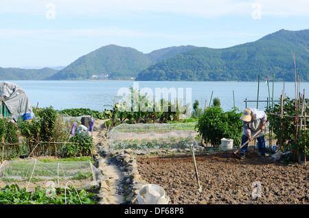 Okishima in Shiga Prefecture, Japan. This is Japan's only populated ...