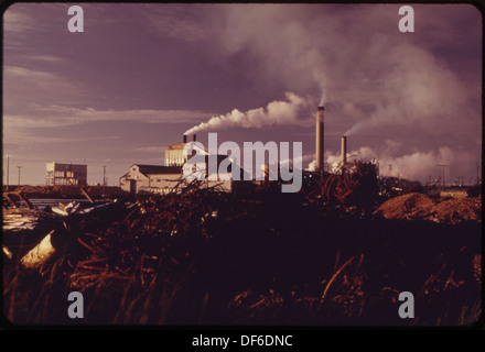 LOG BANDS ARE DUMPED AS FILL IN FORMER LOG STORAGE POND OF CROWN ...