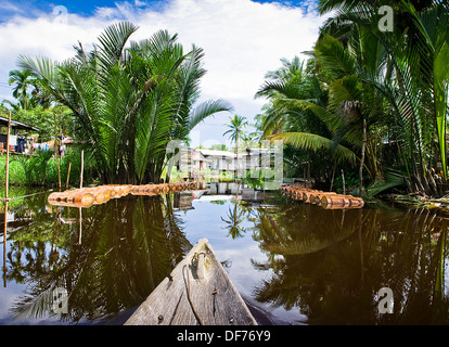 Sago Industry of Sarawak Stock Photo - Alamy