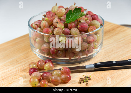 Glass bowl of red gooseberries being topped and tailed ready to cook ...