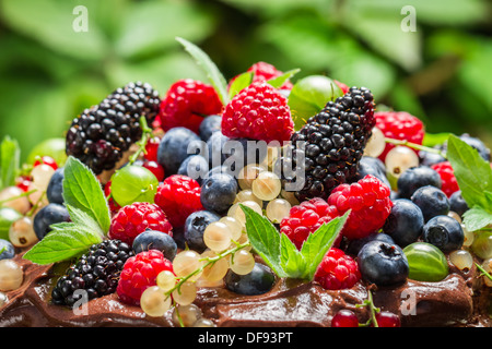 Cake wild fresh berry fruits Stock Photo - Alamy