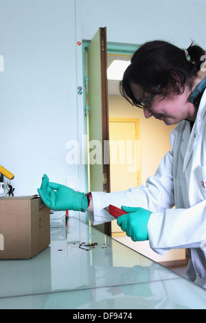 WORKSITE ACCIDENTS PREVENTION Stock Photo - Alamy